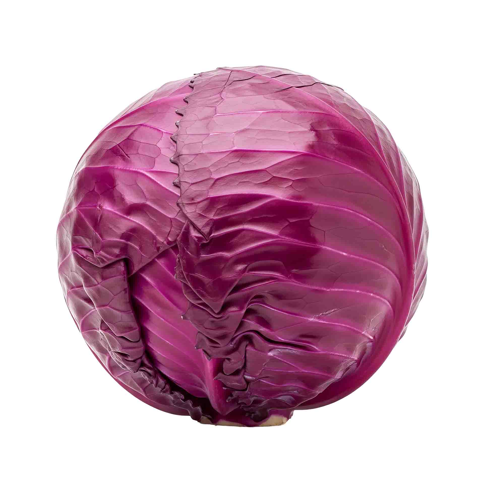 Red Cabbage | Cotswold Foods